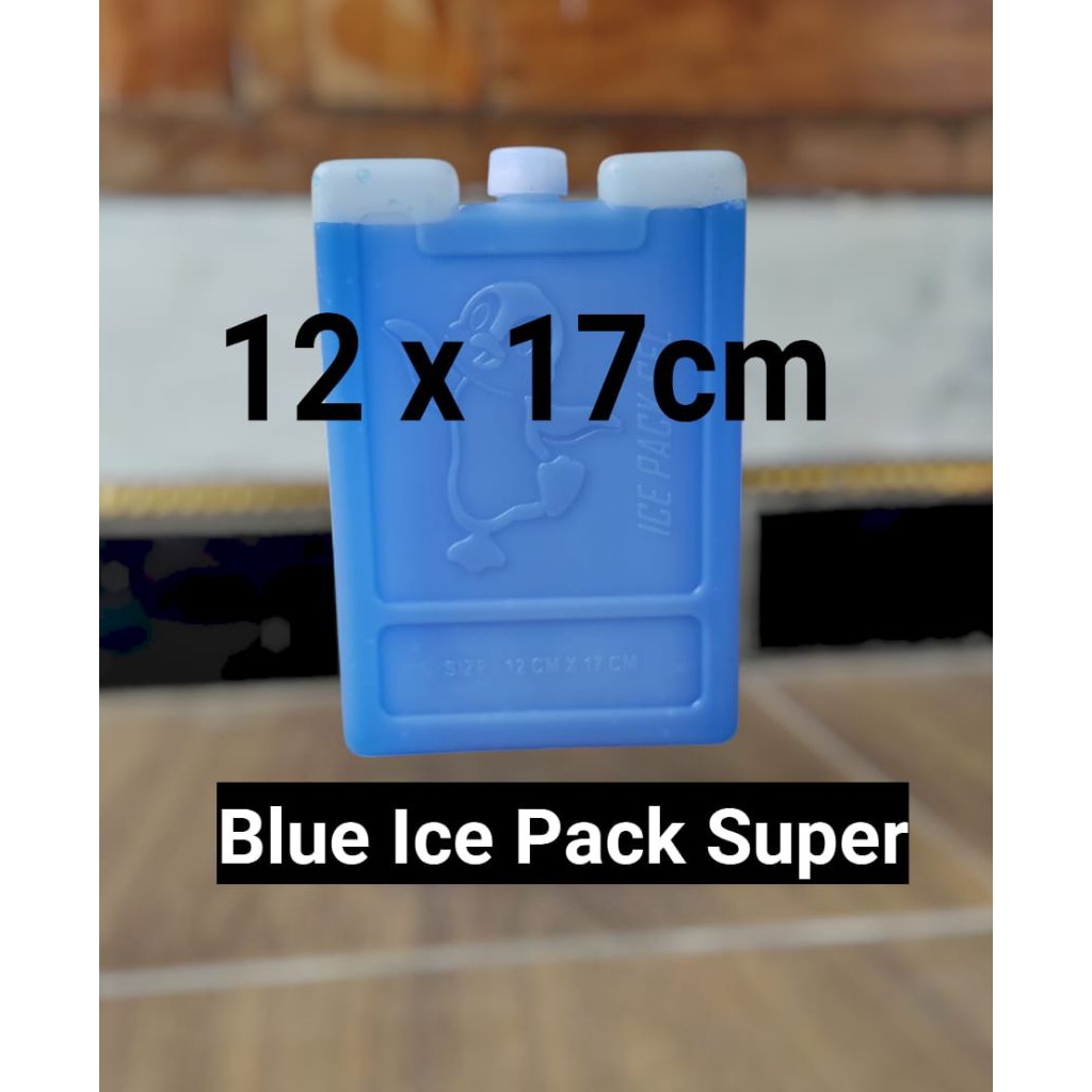 Jual Ice Pack Kotak 12×17cm ice gel blue dry ice thermafreeze SEMI ...