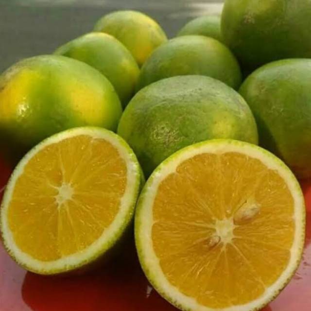 Jual Buah Jeruk Manis Baby Java Fresh Petik dari Kebun 10 Kg | Shopee ...