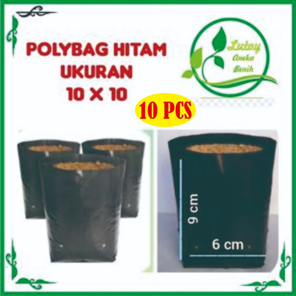 Jual (10 PCS) POLYBAG HITAM 10 X10 | Shopee Indonesia