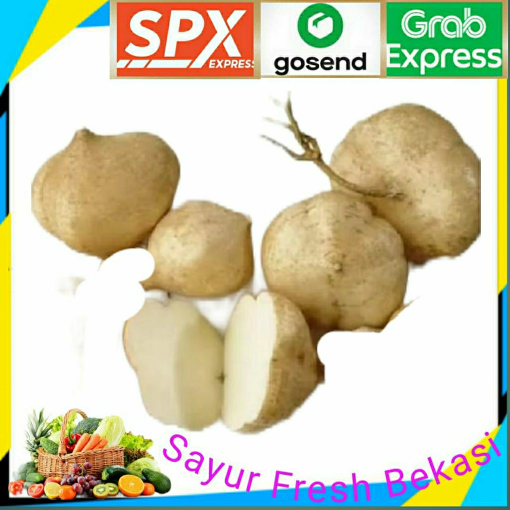 Jual Bengkoang 1kg. | Shopee Indonesia