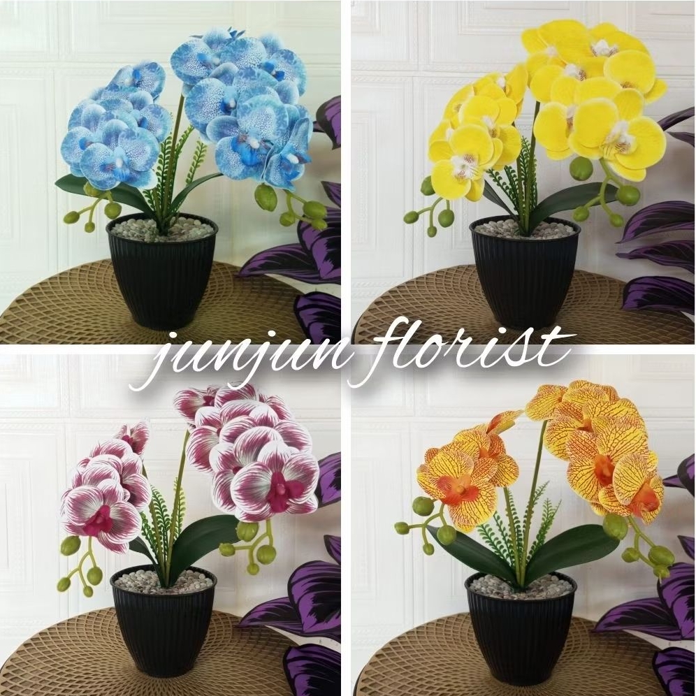Jual bunga anggrek latex artificial 2 cabang vas kerang hitam | Shopee ...