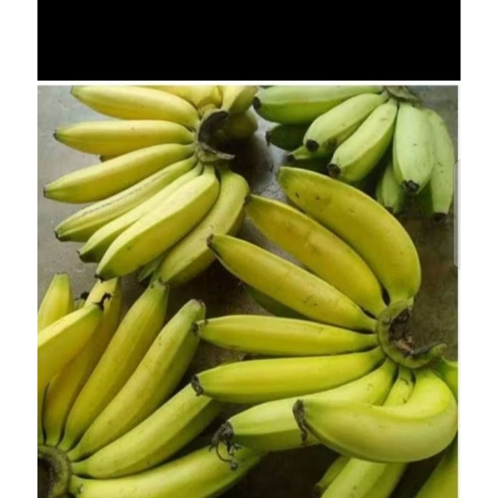 Jual BUAH PISANG AMBON SUPER 1KG | Shopee Indonesia