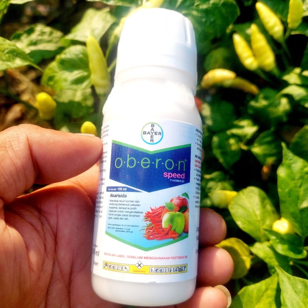 Jual insektisida oberon speed akarisida 100 ml | Shopee Indonesia