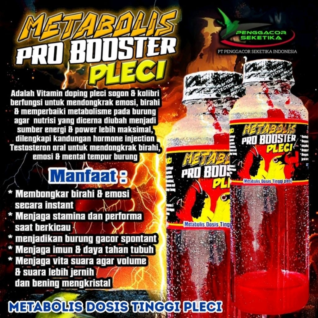 Jual [BEST SELLER] Metabolis Pro Booster Pleci Juara 30ml Vitamin ...