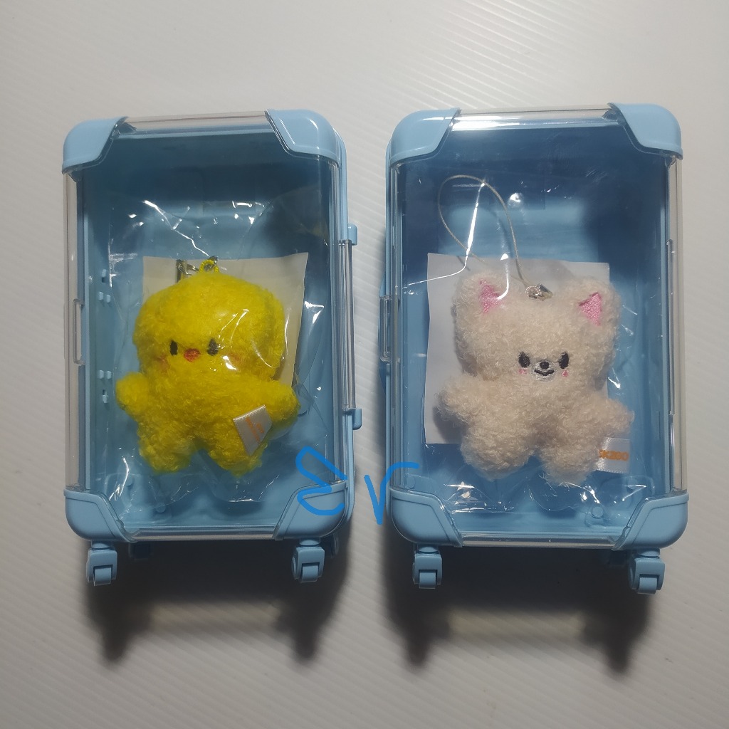 Jual SKZOO MD MICRO KEYRING, TUBE, & CARRIER (no pc) | Shopee Indonesia
