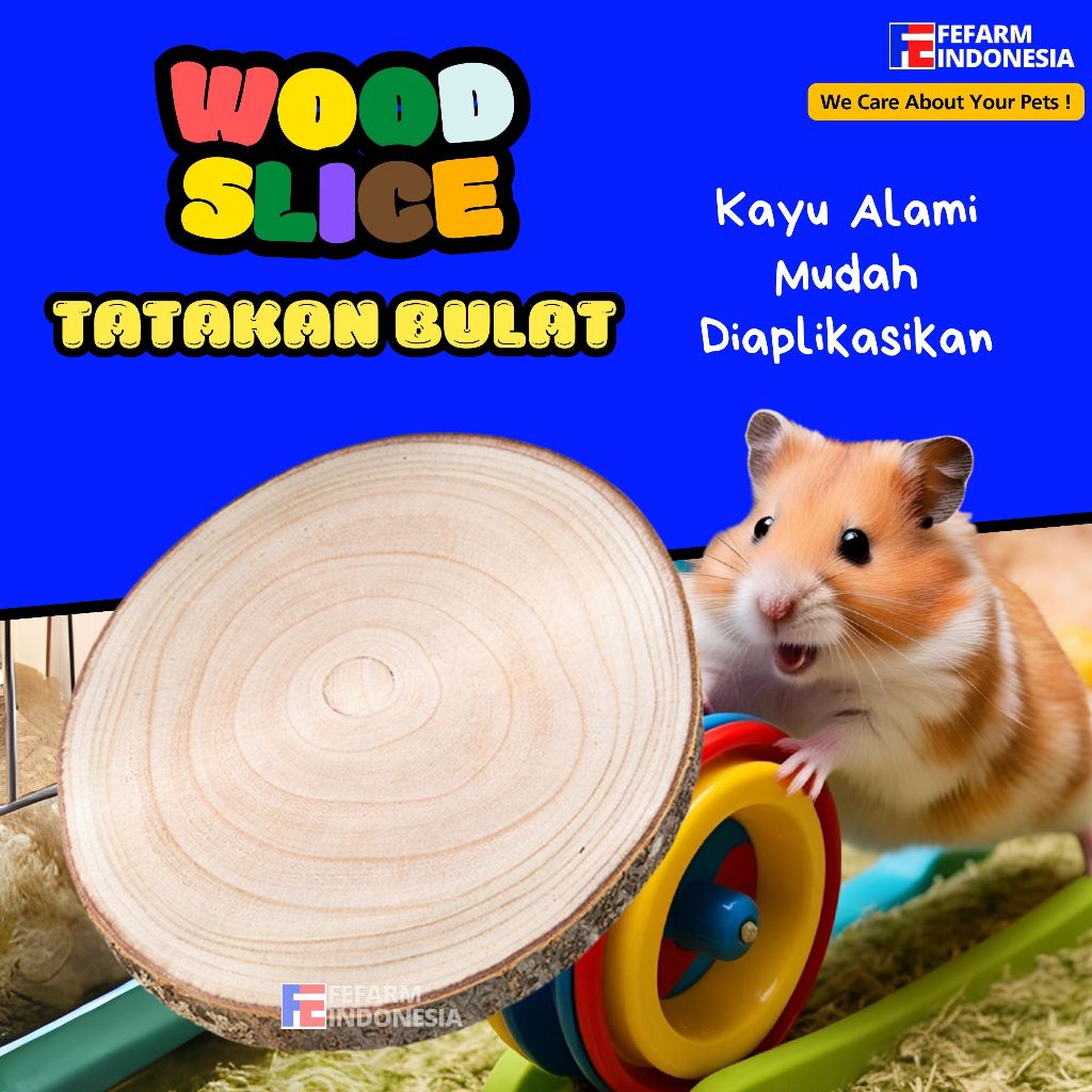 Jual WOOD SLICE - Mainan Hamster Aksesoris Kandang Hamster Alas Tidur ...