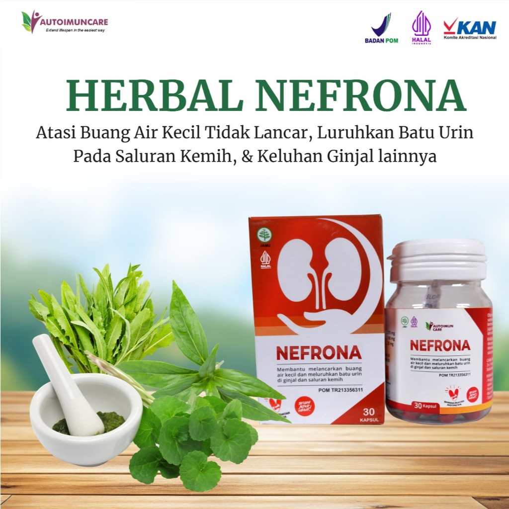 Jual 𝐎𝐁𝐀𝐓 𝐇𝐄𝐑𝐁𝐀𝐋 𝐍𝐄𝐅𝐑𝐎𝐍𝐀 𝐌𝐄𝐍𝐆𝐀𝐓𝐀𝐒𝐈 𝐀𝐍𝐘𝐀𝐍𝐆-𝐀𝐍𝐘𝐀𝐍𝐆𝐀𝐍 | 𝐊𝐄𝐍𝐂𝐈𝐍𝐆 𝐓𝐈𝐃𝐀𝐊 ...