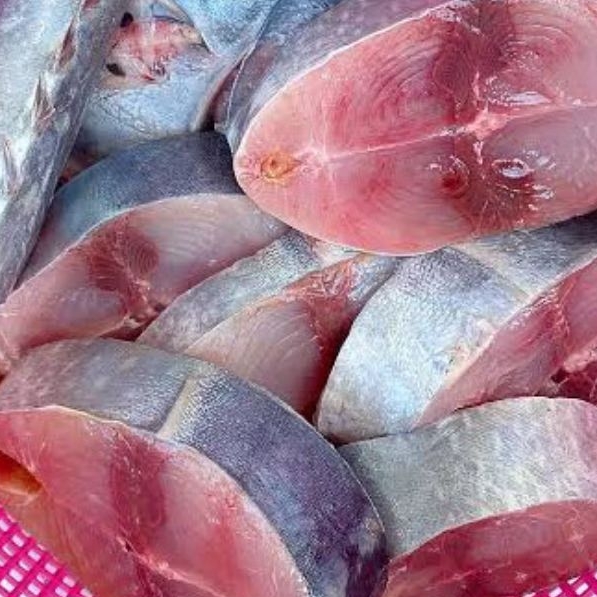 Jual Ikan Tongkol Potong Full Daging Besar | Shopee Indonesia