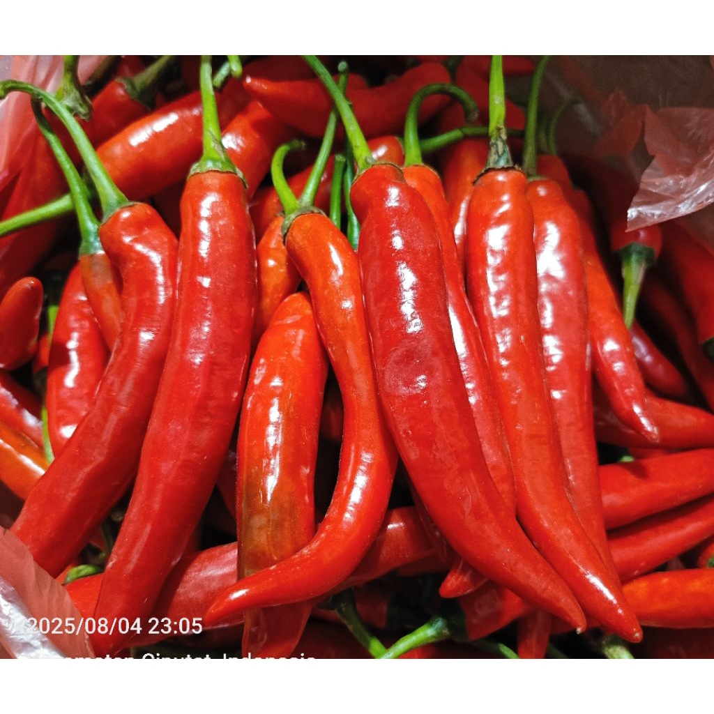 Jual cili merah besar atau cabe merah besar | Shopee Indonesia