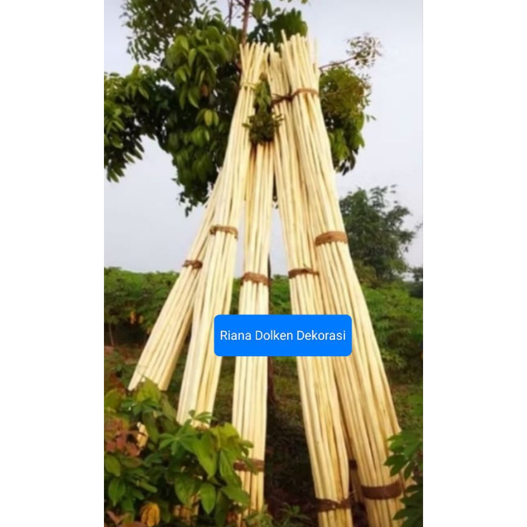 Jual Kayu Dolken Terlengkap & Harga Terbaru April 2026 | Shopee Indonesia
