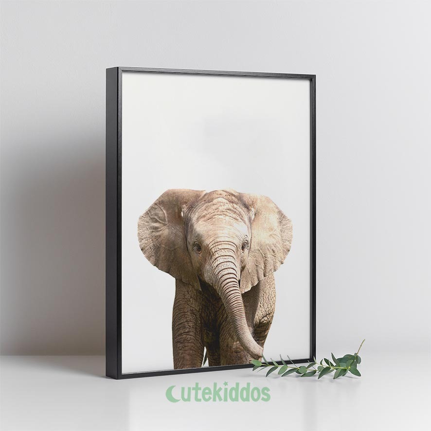 Jual Poster Anak Gajah Lucu Baby Elephant Hiasan Dinding Dekorasi Rumah ...