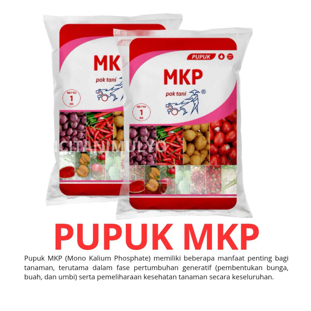 Jual Saprotan Utama Pupuk MKP Kemasan 1 Kg | Shopee Indonesia