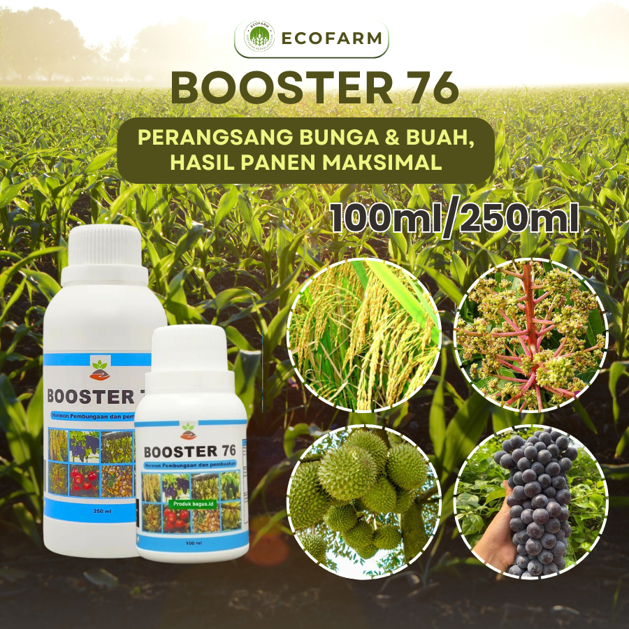 Jual Booster 76 – Pupuk Generatif untuk Hasil Panen Melimpah & Bunga ...