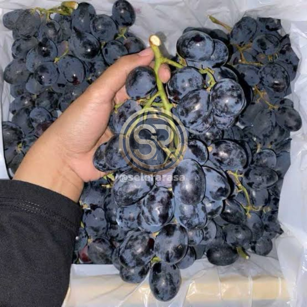 Jual Buah Angggur Hitam Manis Segar | Shopee Indonesia