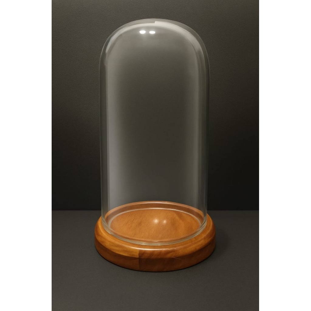 Jual Glass Dome Kaca Alas Kayu | Shopee Indonesia