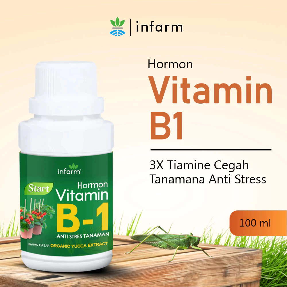 Jual Infarm Vitamin B1 Anti Stress Tanaman Impor | Shopee Indonesia