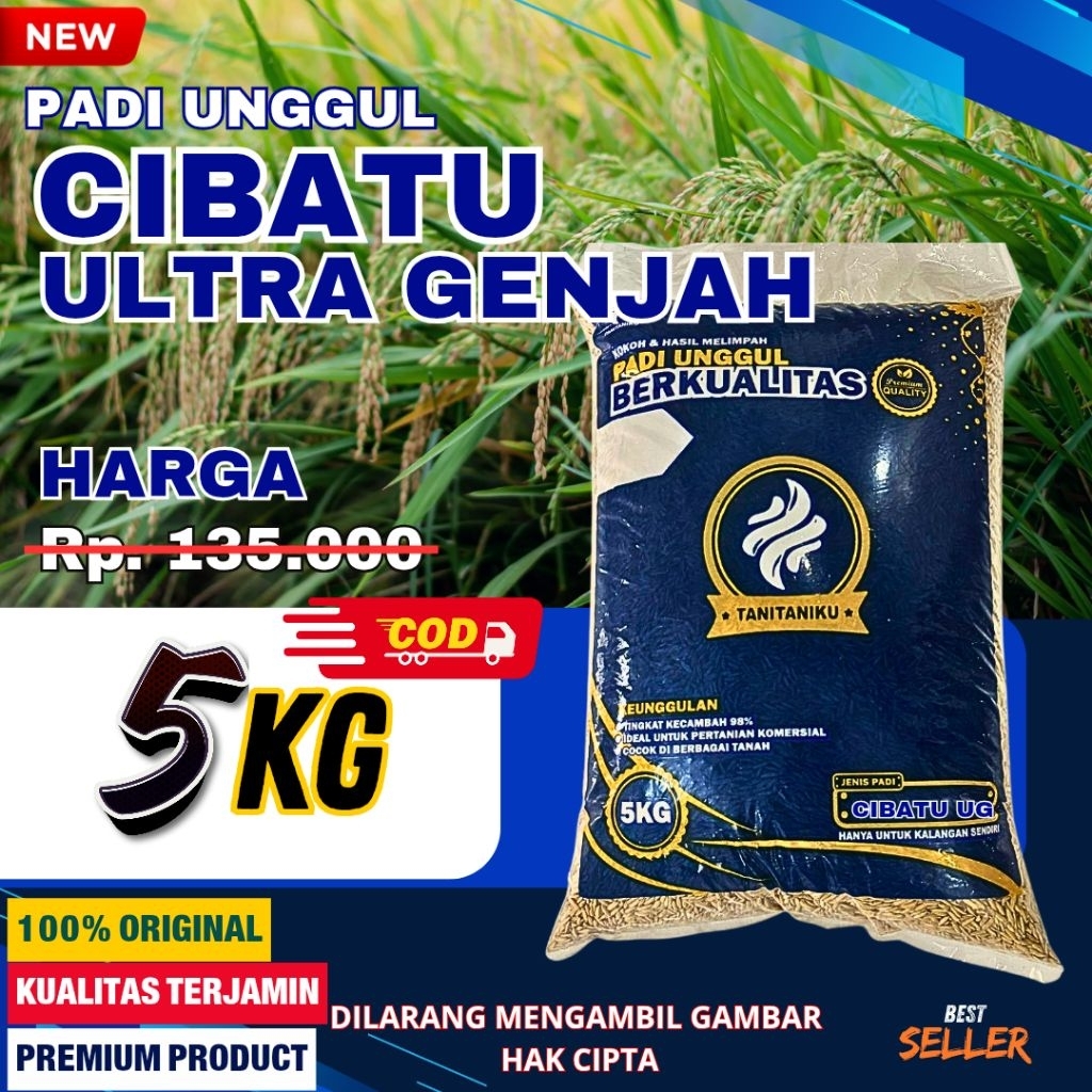 Jual Benih padi unggul cibatu ultra genjah kemasan 5kg | Shopee Indonesia