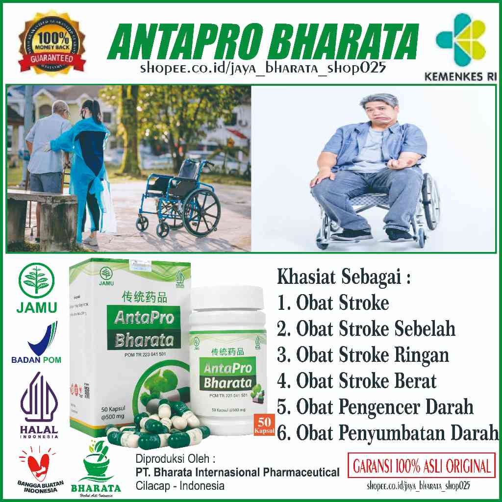 Jual ANTAPRO BHARATA - Obat Stroke Ringan Dan Berat, Obat Stroke ...