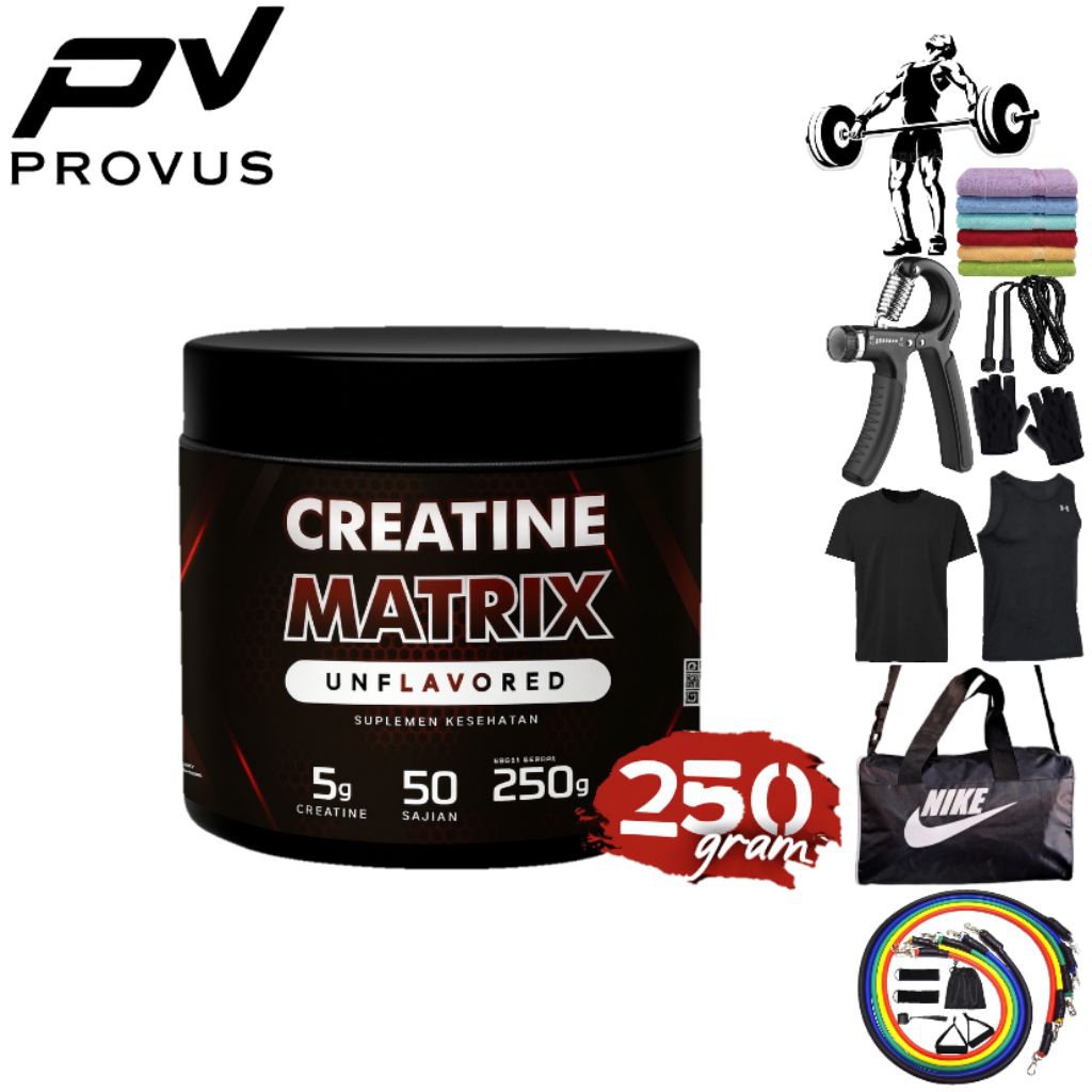 Jual PROVUS Creatine Matrix Monohydrate Meningkatkan Performa Latihan ...