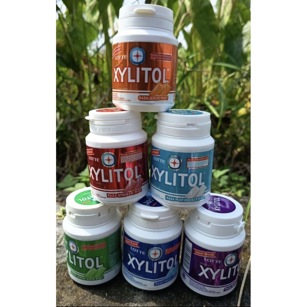 Jual Lotte Xylitol Permen Karet Bebas Gula Kemasan Besar 58 Gram ...