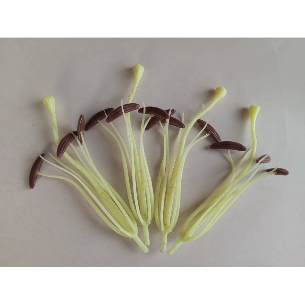 Jual Putik Lily Coklat Putik Bunga Lili Putik Plastik Putik Bunga Lily ...