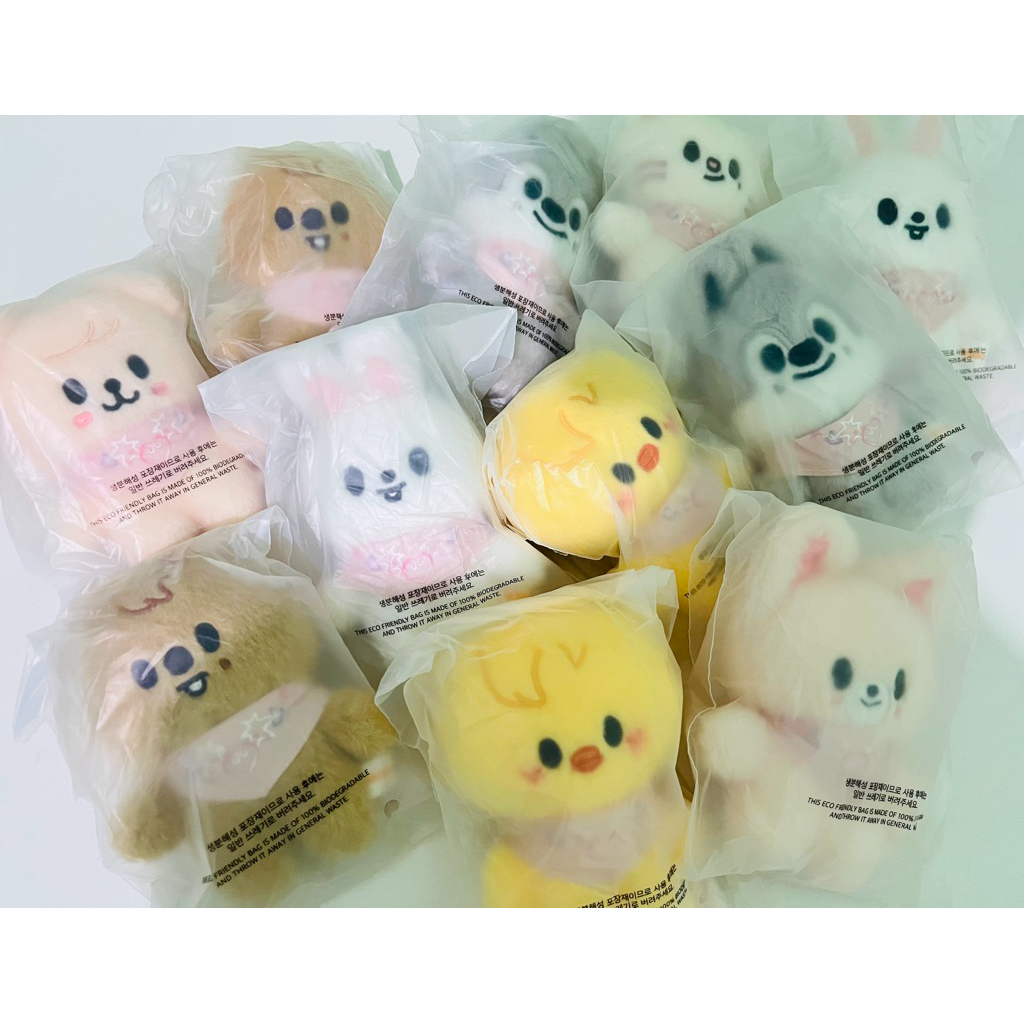 Jual READY STOCK STRAY KIDS SKZOO KEYRING MICRO PLUSH 10CM OUTFIT PLUSH ...