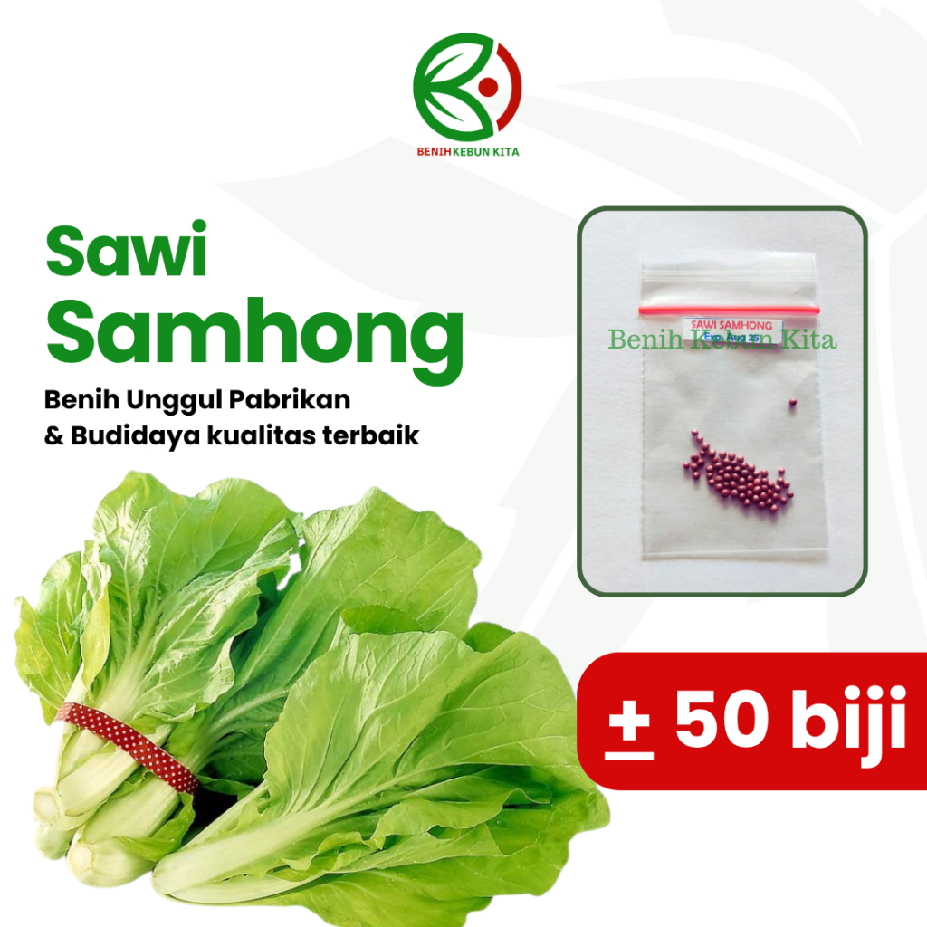 Jual Biji Benih Bibit Tanaman Sayuran Sawi Keriting Samhong King Jumbo ...