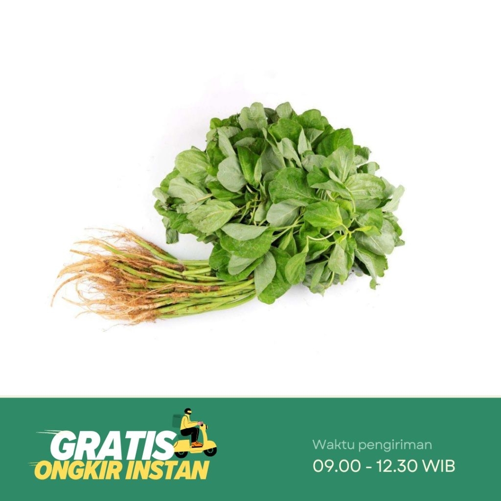 Jual Sayur Bayam Hijau per ikat | Shopee Indonesia