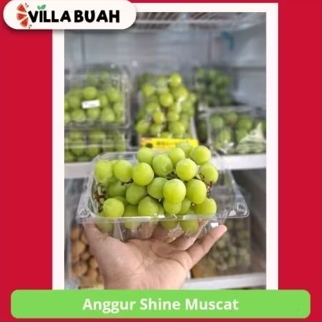 Jual Anggur Muscat (+-250 gr) | Shopee Indonesia
