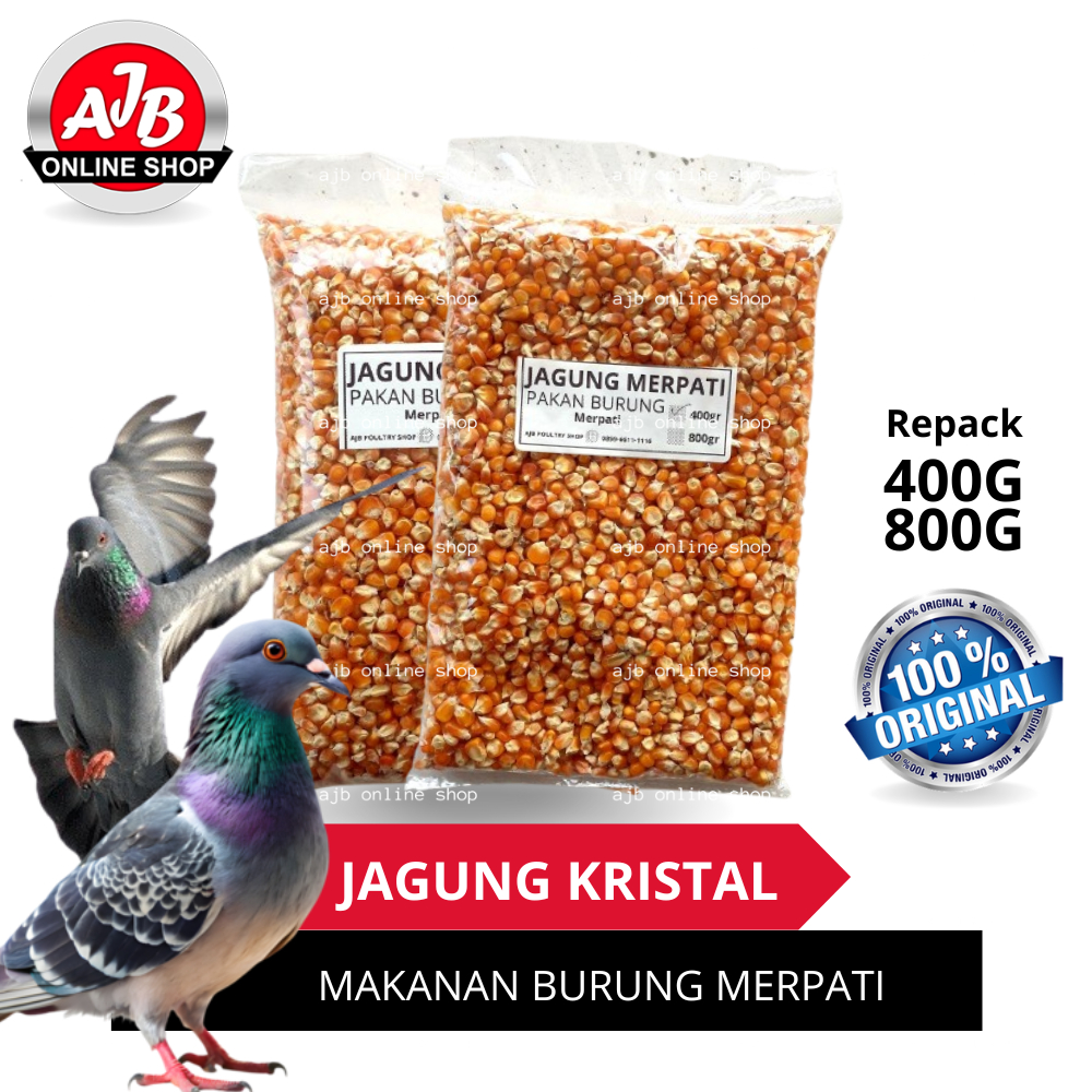 Jual JAGUNG KRISTAL PAKAN MAKANAN BURUNG MERPATI Repack 400gr dan 800gr ...