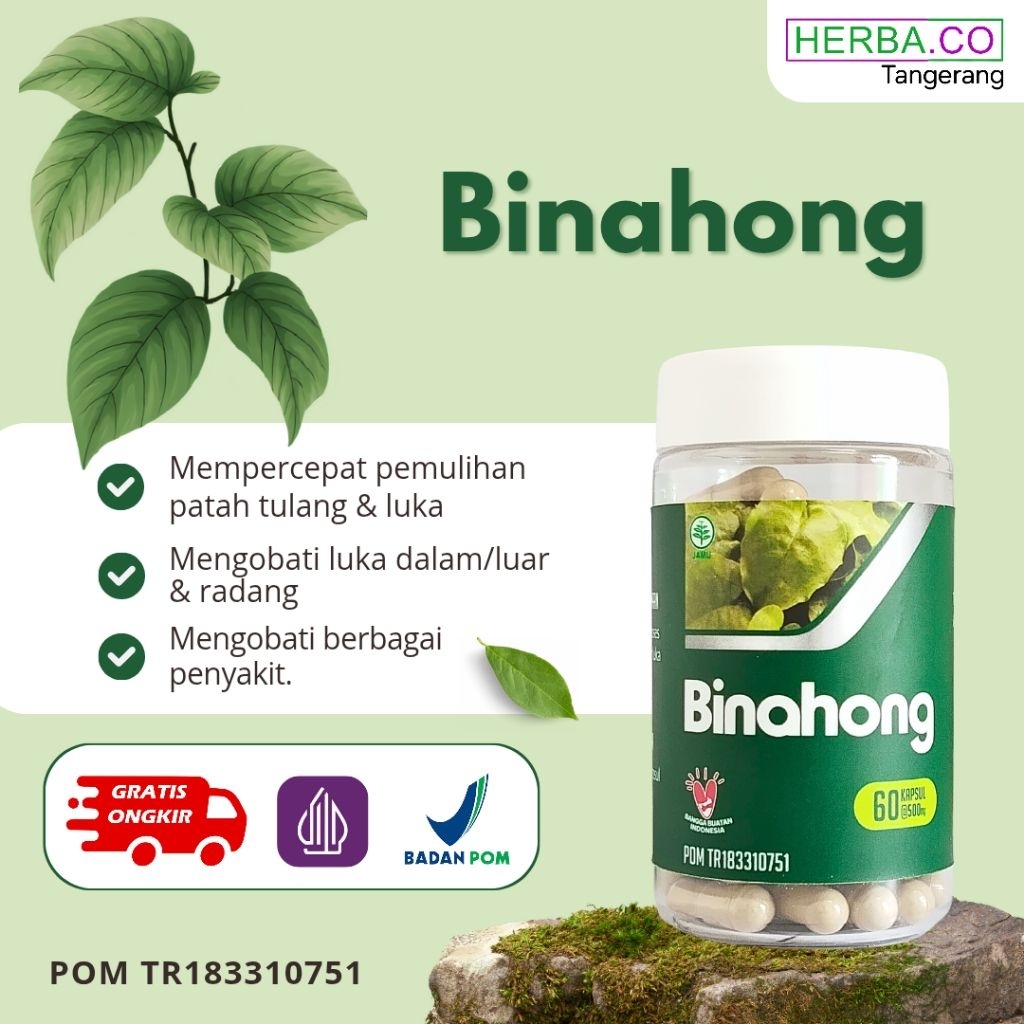 Jual Binahong Al-Afiat 60 Kapsul - Kapsul Herbal Alami untuk Penyembuhan Luka & Kesehatan Tubuh ...
