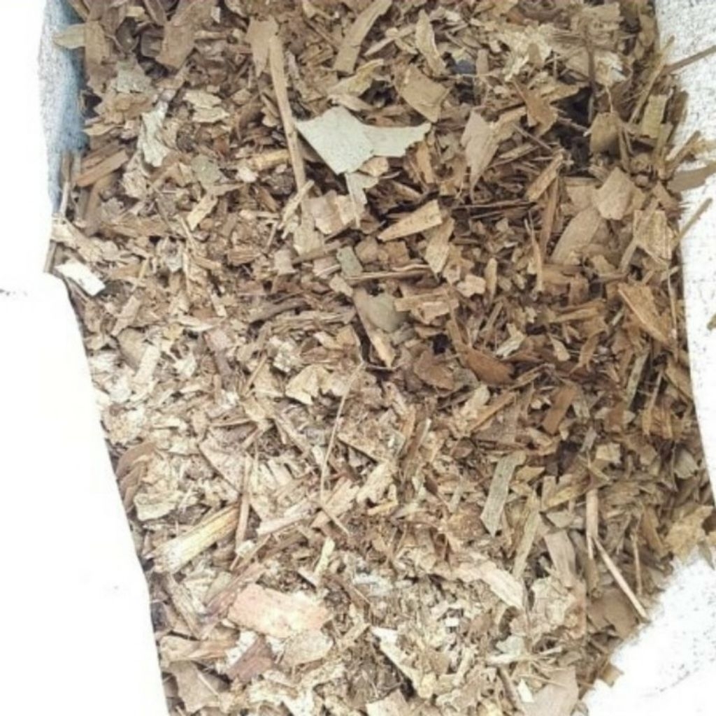 Jual humus ( daun bambu kering ) 1kg | Shopee Indonesia