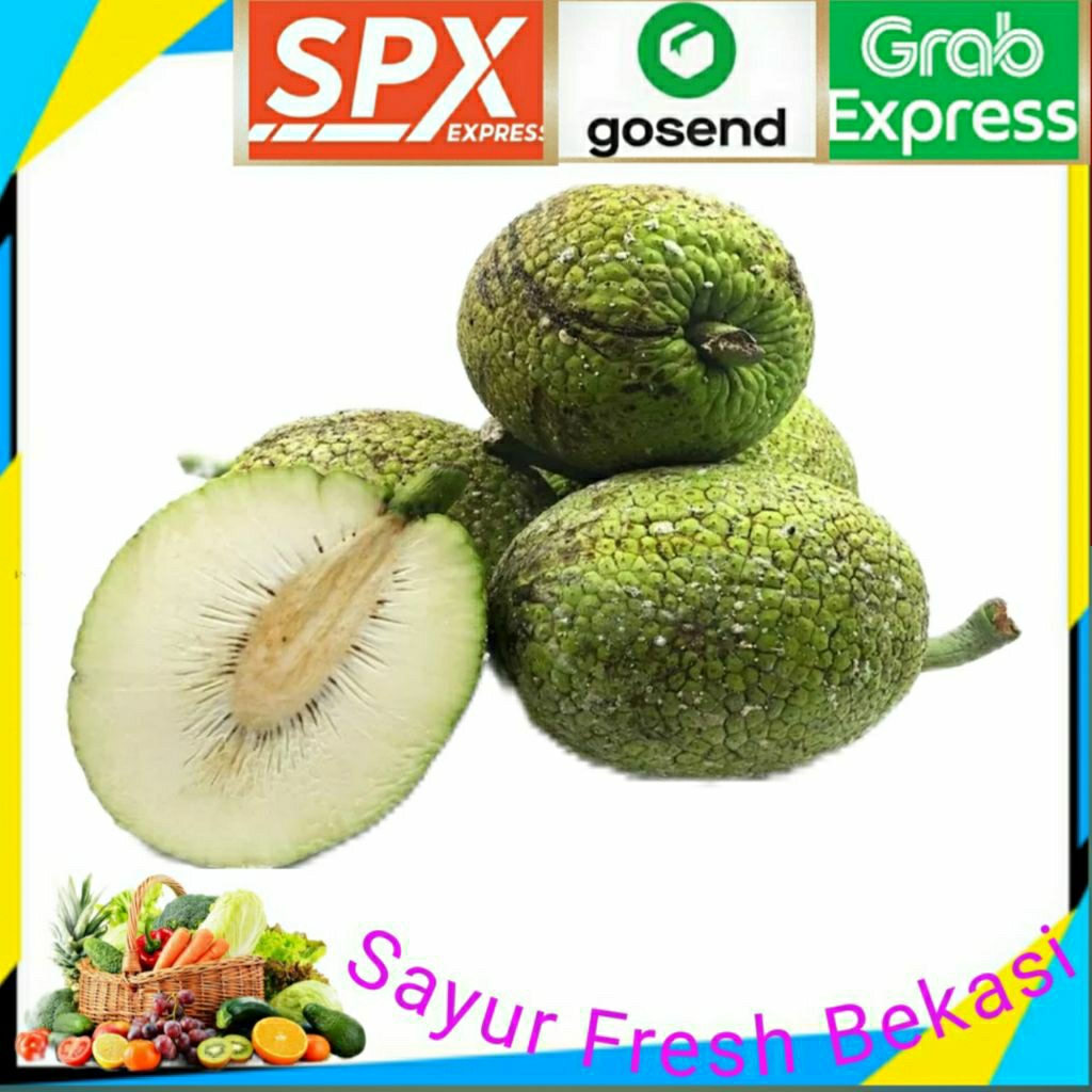 Jual Sukun/Buah Sukun (PerBuah). | Shopee Indonesia
