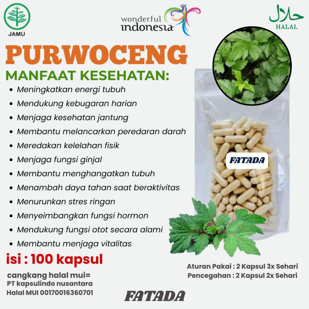 Jual Jamu herbal purwoceng kapsul (100 kapsul) | Shopee Indonesia