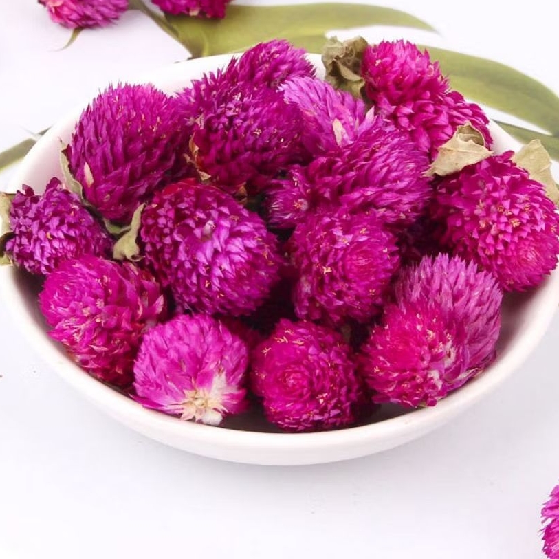Jual Bunga Globe Amaranth kering 25 Gram bunga kenop 25gr | Shopee ...