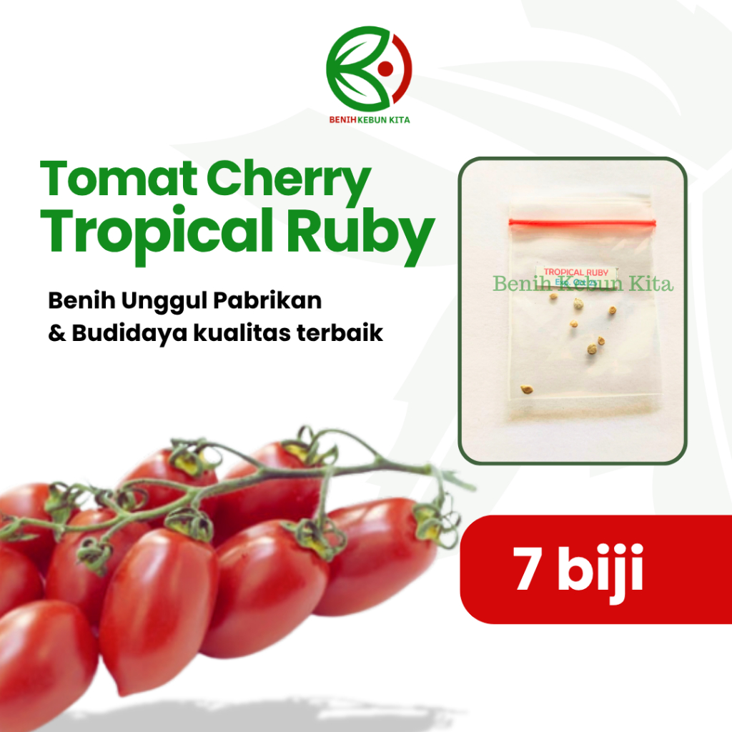Jual Benih Tomat Cherry Tropical Ruby Biji Tanaman Tomat Ceri Tropical Ruby | Shopee Indonesia