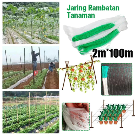 Jual 2m*100m Jaring panjat kebun pertanian jaring penyangga tanaman anggur jaring penghijauan ...