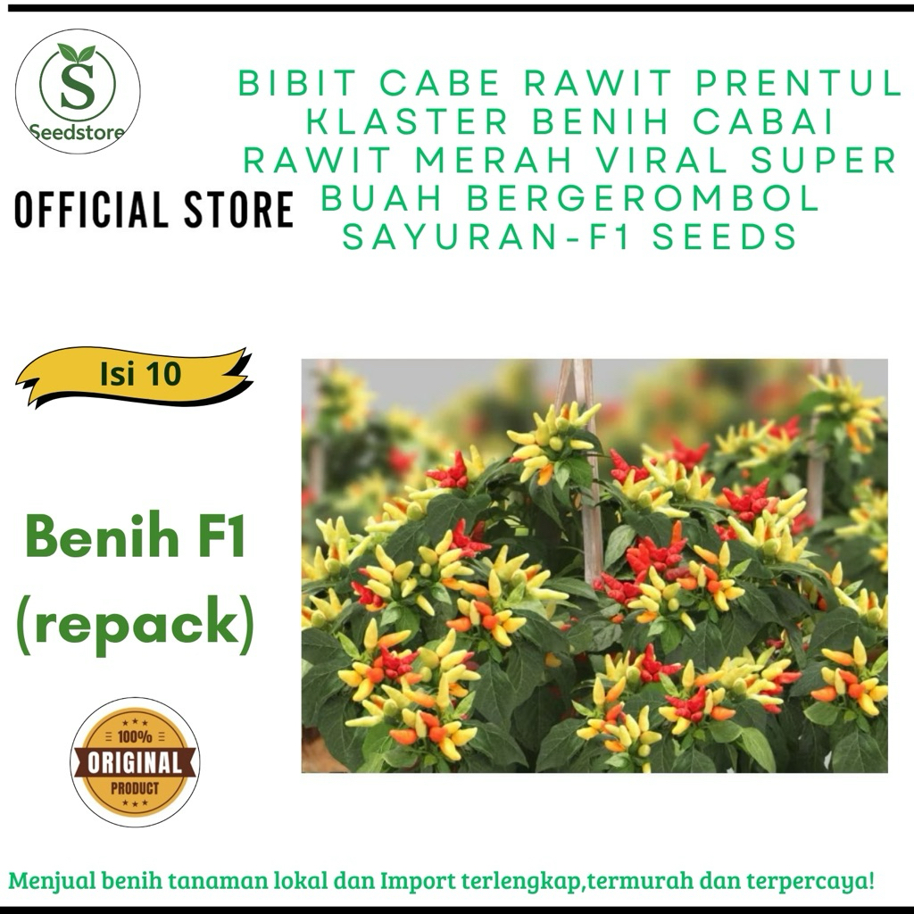 Jual isi 10 Bibit Cabe Rawit Prentul Klaster Benih Cabai Rawit Merah ...