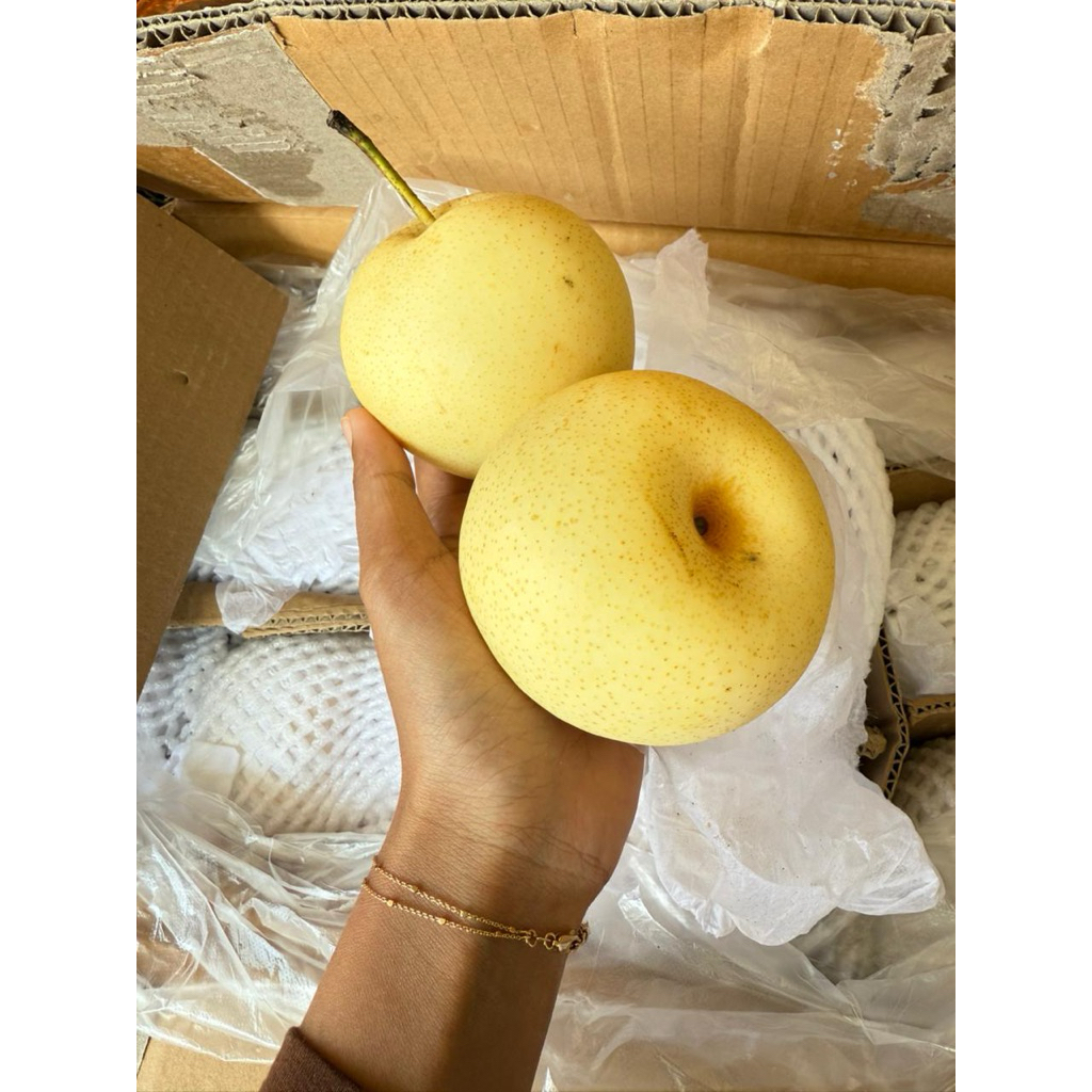 Jual buah pear isi 4-6 per1kg | Shopee Indonesia