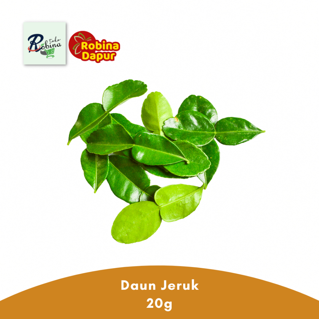 Jual Fresh Daun Jeruk 20g | Shopee Indonesia