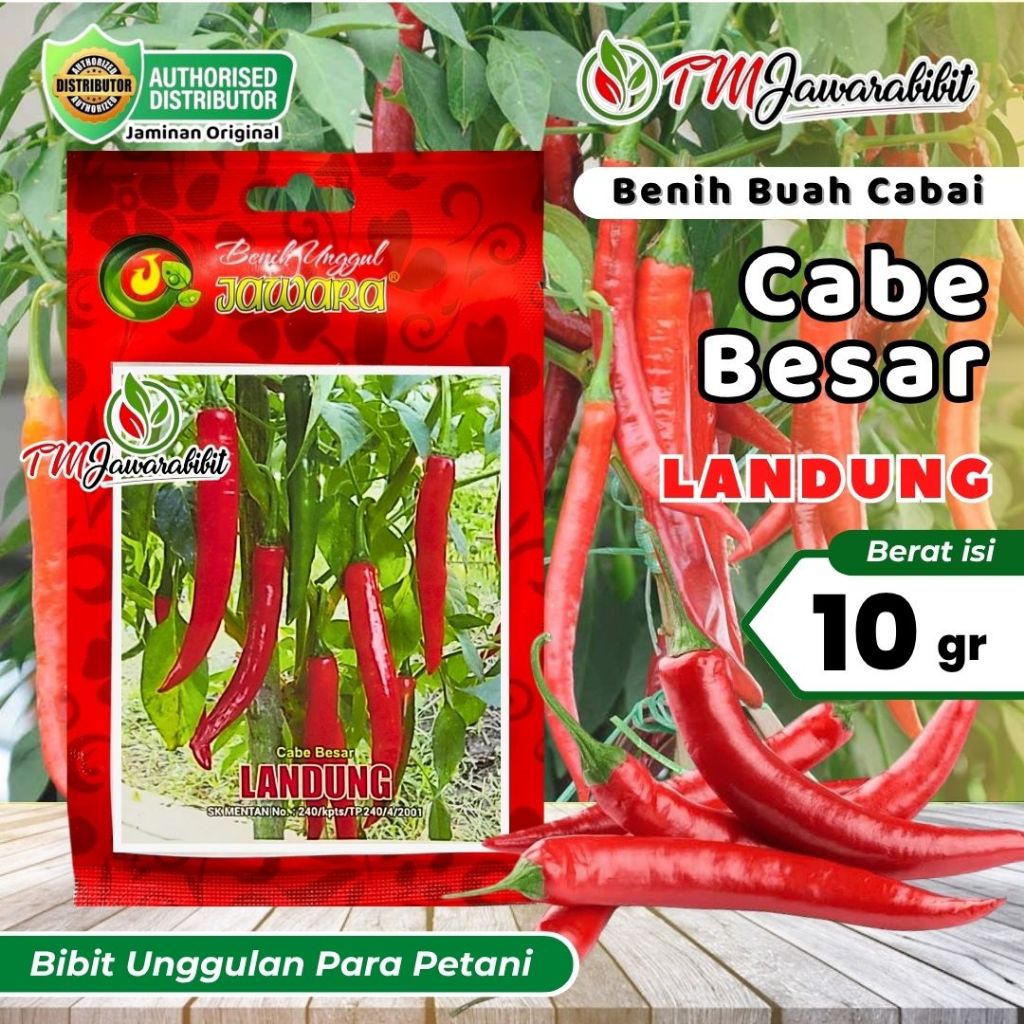 Jual ISI 10 Gram / BENIH CABE MERAH BESAR LANDUNG / PRODUKSI ASLI ...