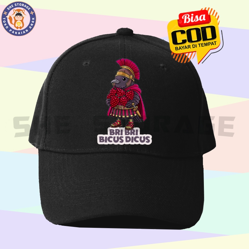 Jual TOPI BASEBALL ANAK ANOMALI BRI BRI BICUS DICUS | Anomali | Italian ...