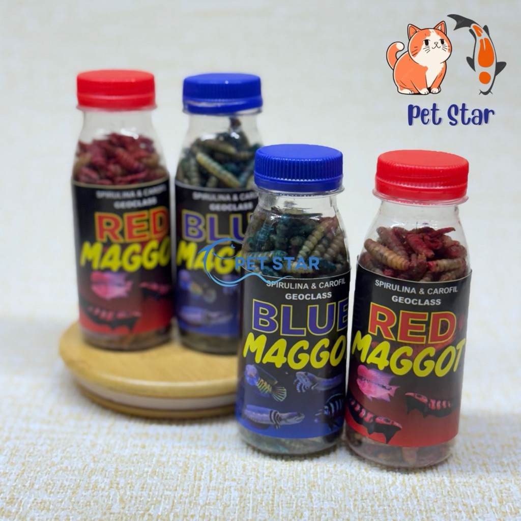 Jual Maggot Kering Warna Pakan Ikan / Makanan Ikan Arwana , Chana ...