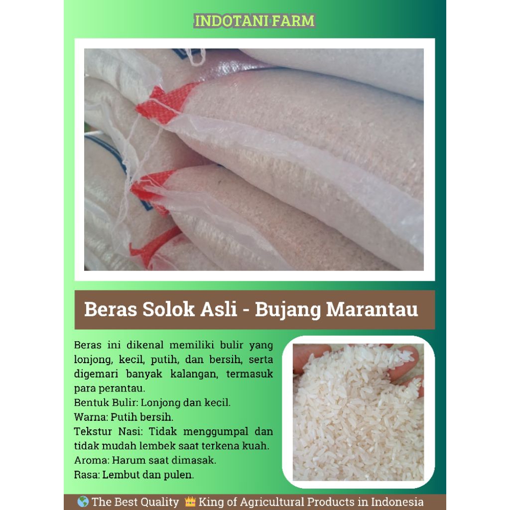 Jual INDOTANI_ Beras Solok Asli Bujang Marantau (Kualitas Terbaik ...
