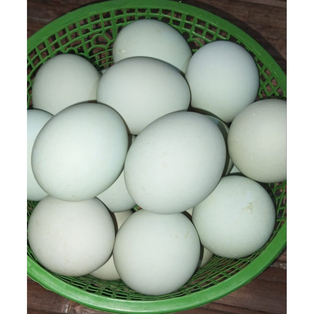 Jual TELUR ASIN MATANG 8 BUTIR | Shopee Indonesia