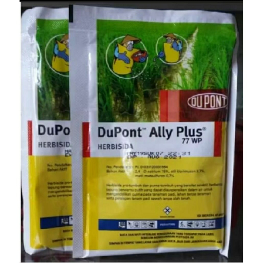 Jual Ally plus 77 WP 40gram | Shopee Indonesia