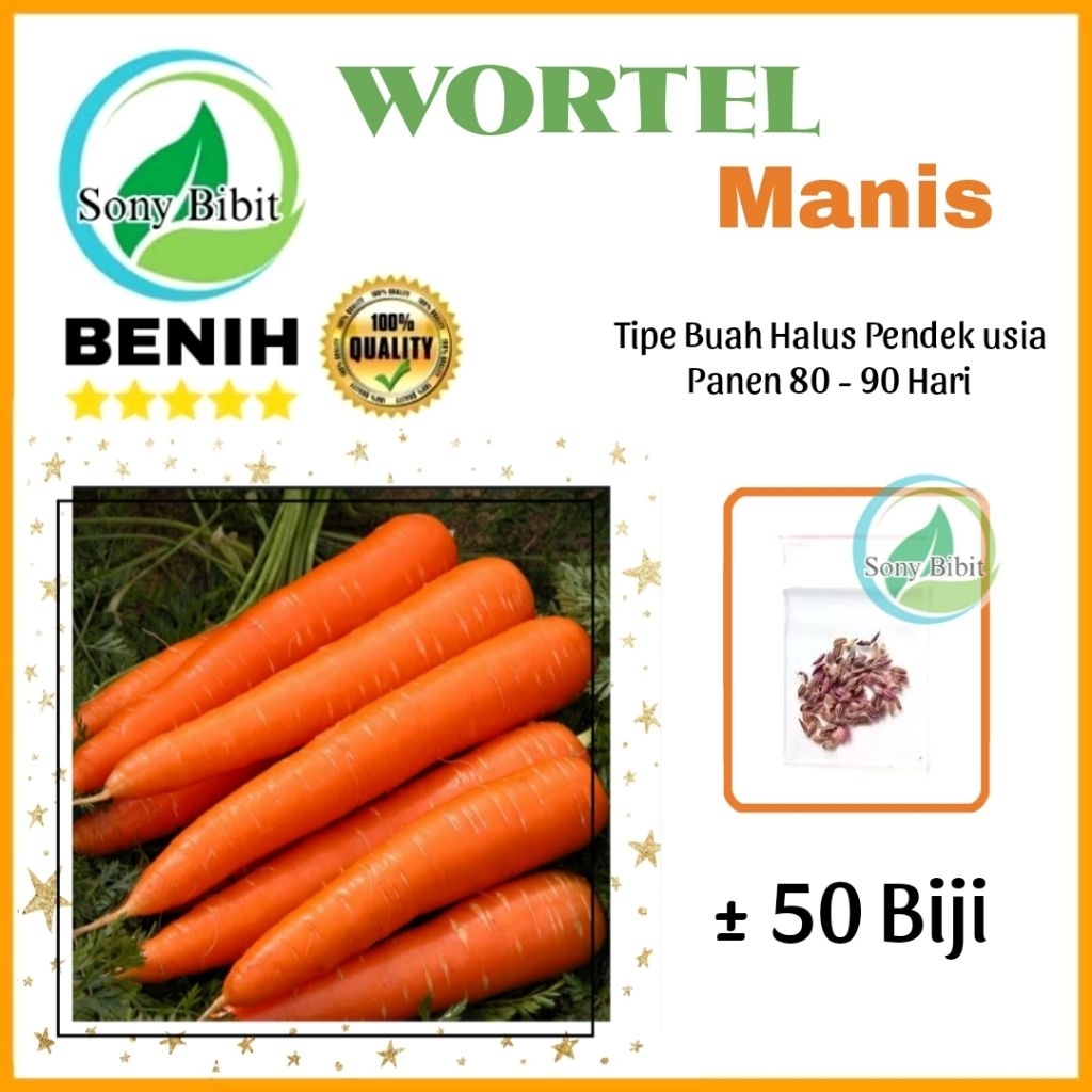 Jual 50 Biji Benih Wortel Manis Kemasan Ekonomis | Shopee Indonesia