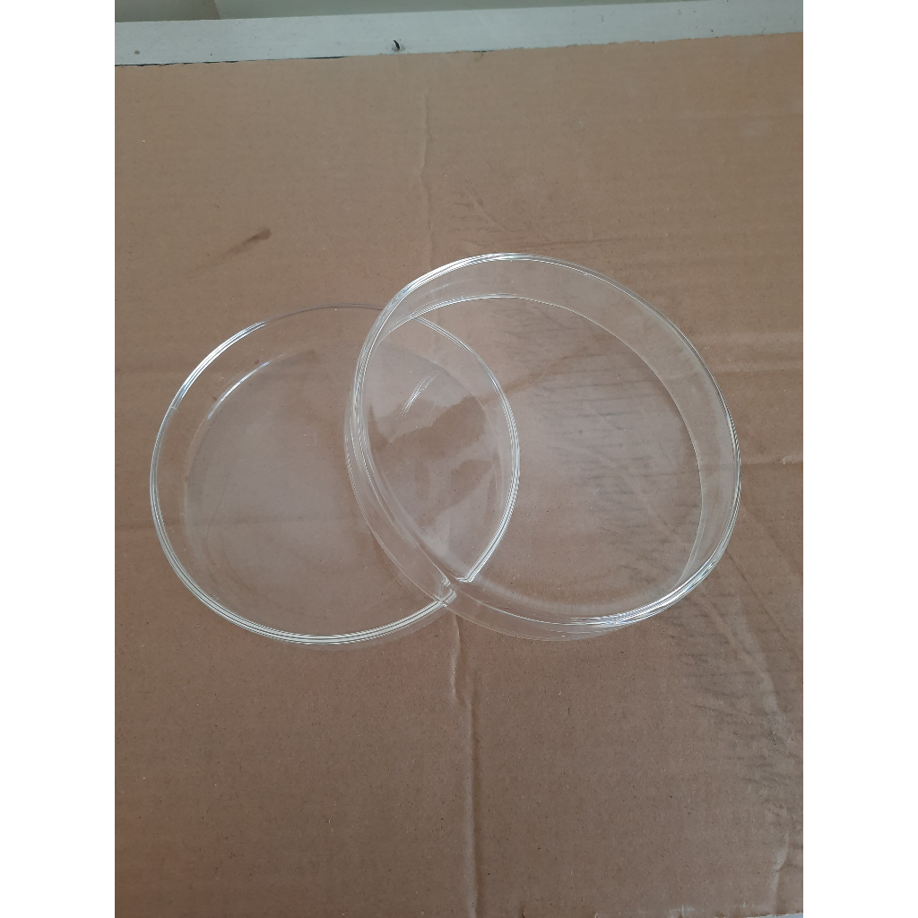 Jual Cawan petri kaca 120 x 20mm _ Petridish Kaca 120x20mm (12x2cm ...