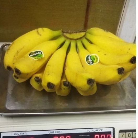 Jual buah pisang cavendish Sunpride 1000g fresh | Shopee Indonesia