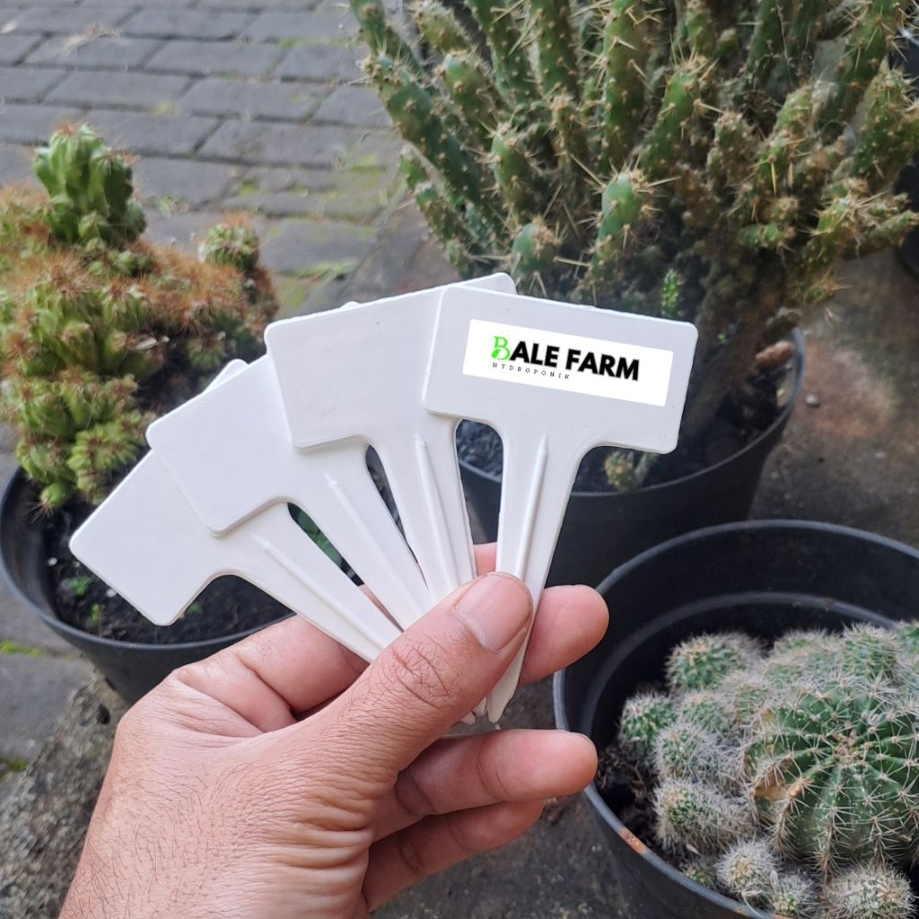 Jual 100pcs tag name label tanaman putih | Shopee Indonesia